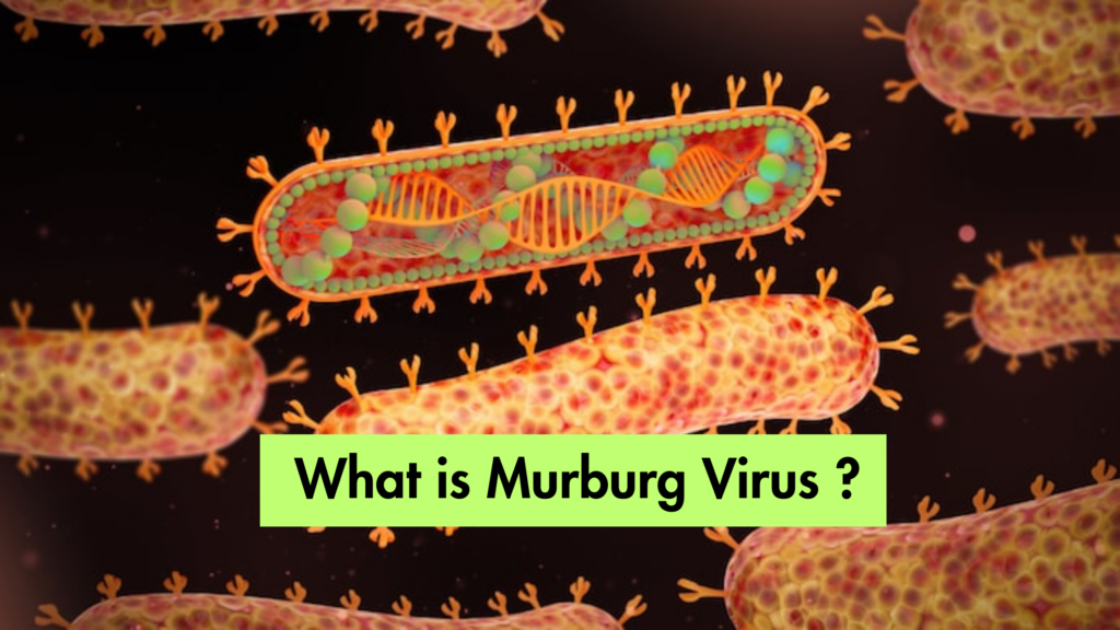 What is Marburg Virus? | News Samachar