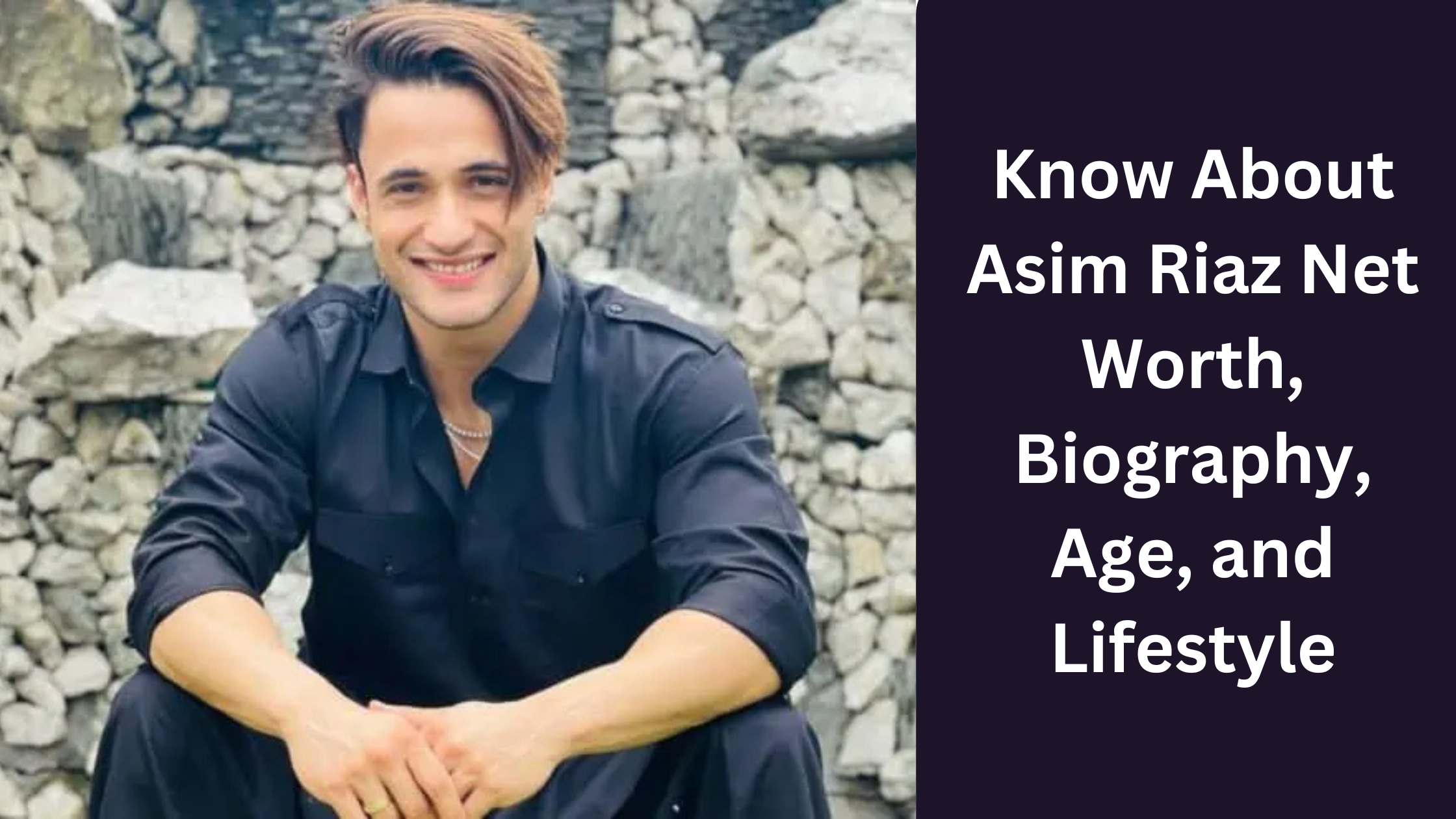 Know About Asim Riaz Net Worth, Biography, Age, and Lifestyle
